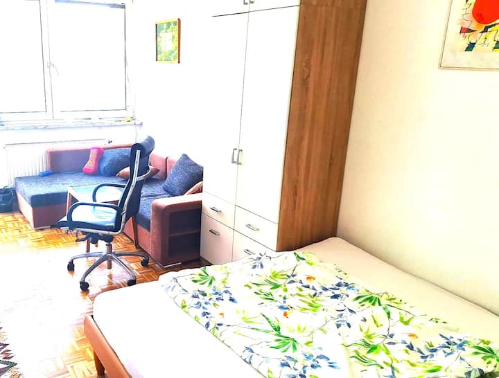 Studio Appartment At Salzburg River - Salzburg
