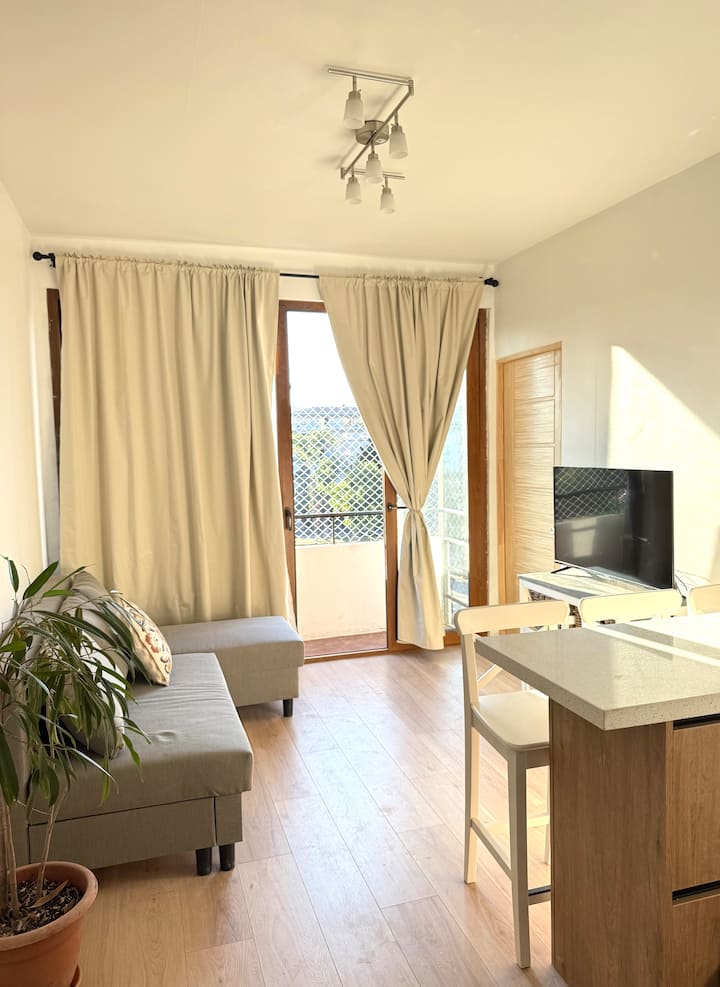 Recién Renovado Con Vista A Parque Imperdible - Santiago (Chile)