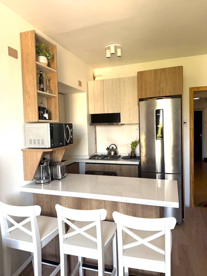 Vista Al Parque, A 1 Cuadra De Metro Baquedano. - Santiago