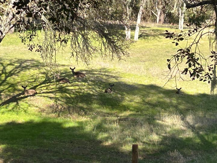 Oaks Oasis - Santa Margarita