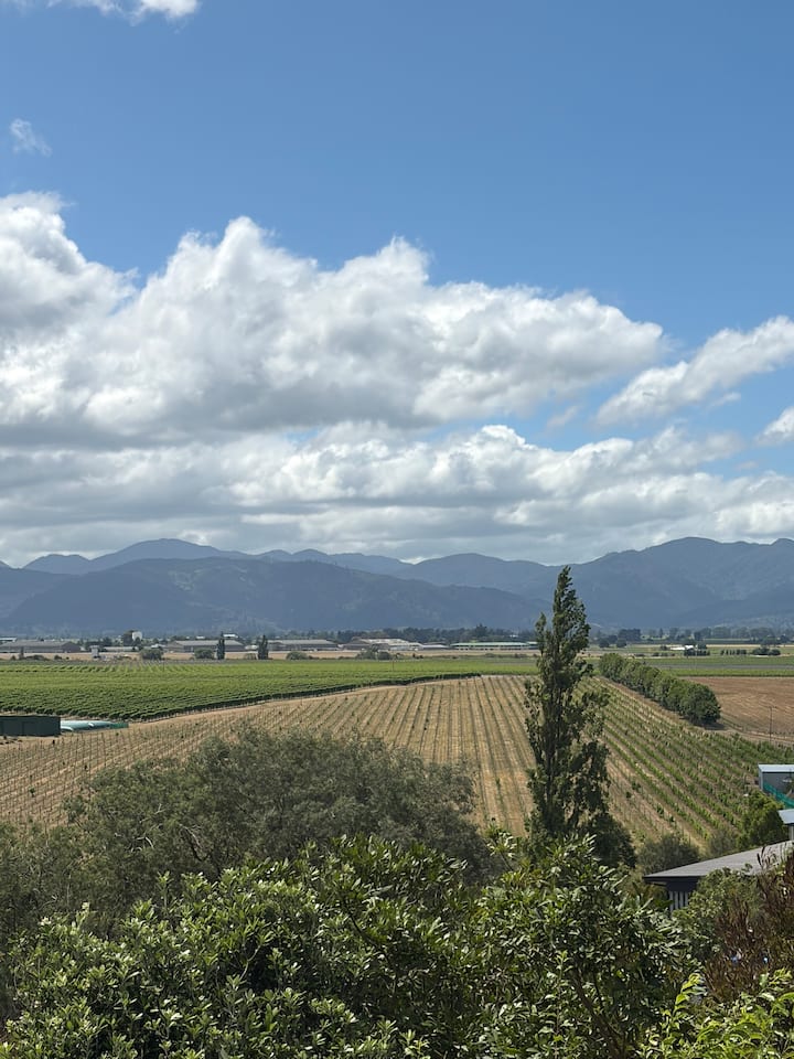 Vineyard View - Blenheim