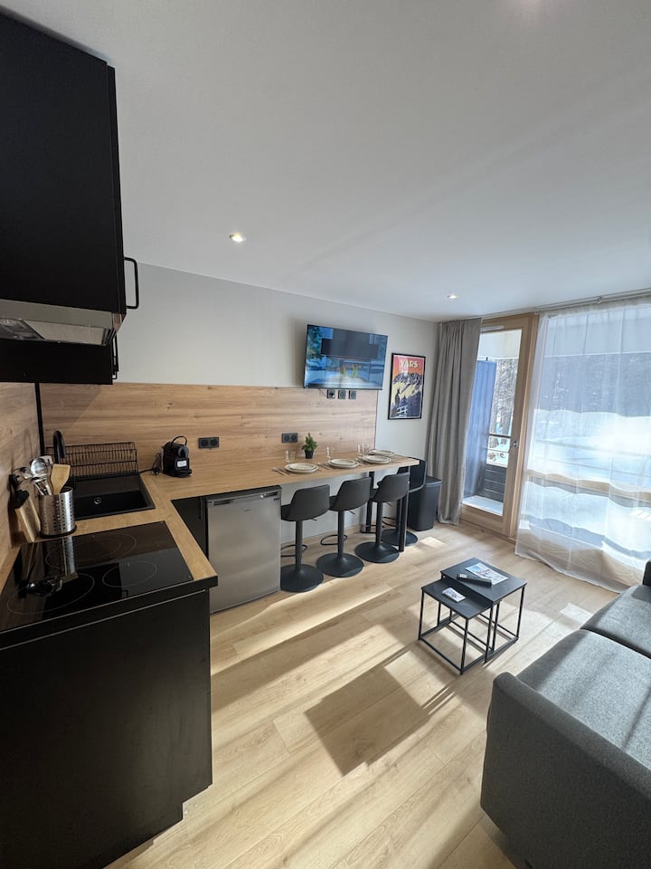 Pied Des Pistes Vars Les Claux Point Show Pelvoux2 - Vars