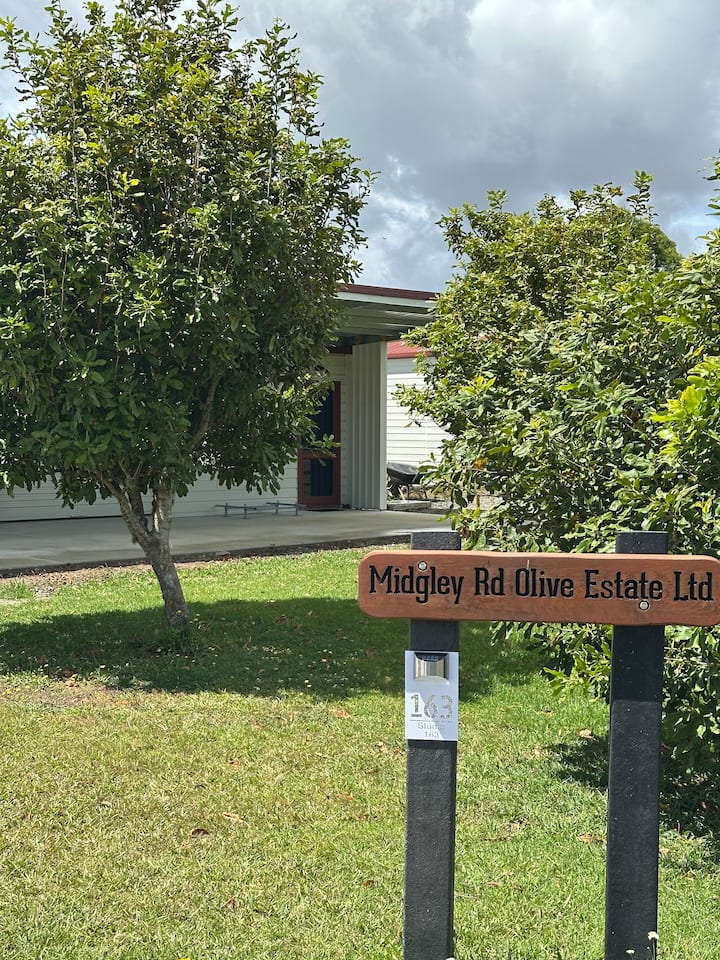 Studio 163 - Mangōnui