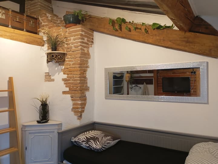 Studio Cosy Hyper Centre Toulouse - Toulouse