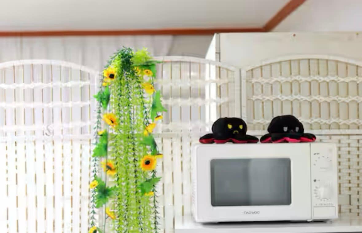 Airbnb: alojamientos para vacaciones, cabañas, casas en la playa ...