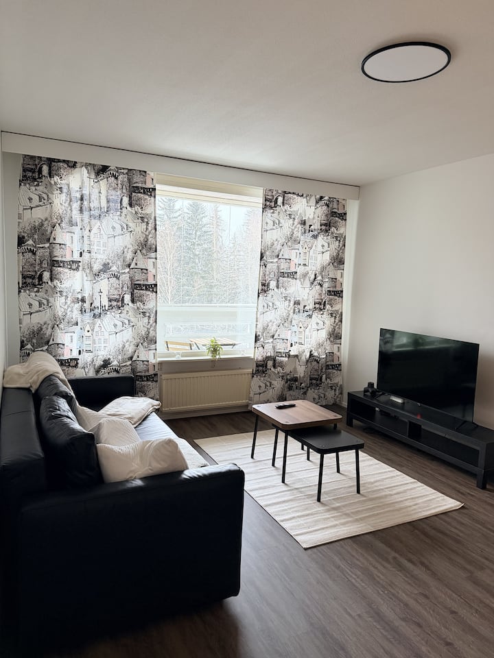 Airbnb Lappeenrannassa - Lappeenranta