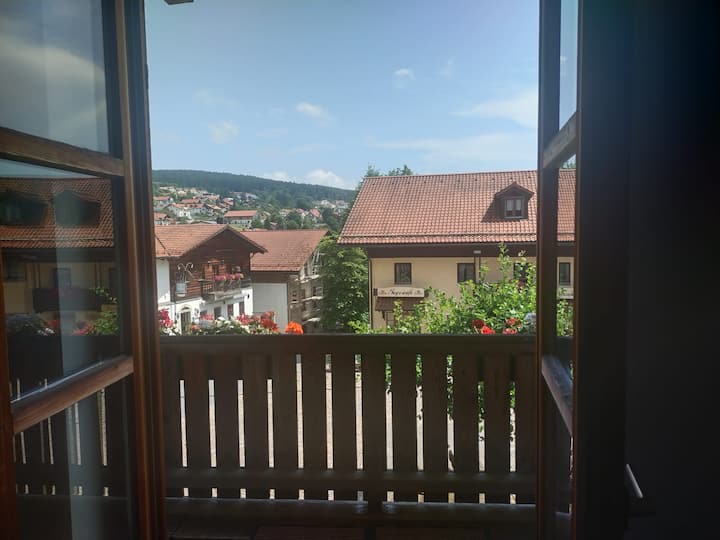 Gemütliche Zweizimmerwohnung In Sankt Englmar - Sankt Englmar