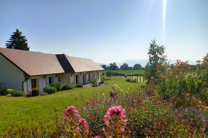 Chambre D'hôtes Ambre, Dolomieu, France - Morestel