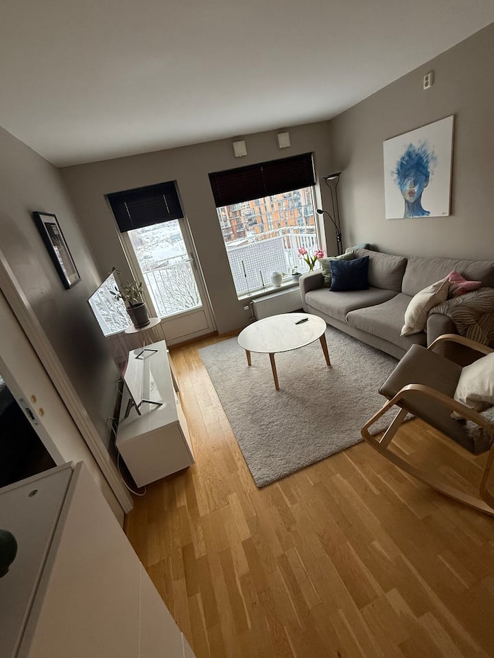 Casa Malo - Trondheim