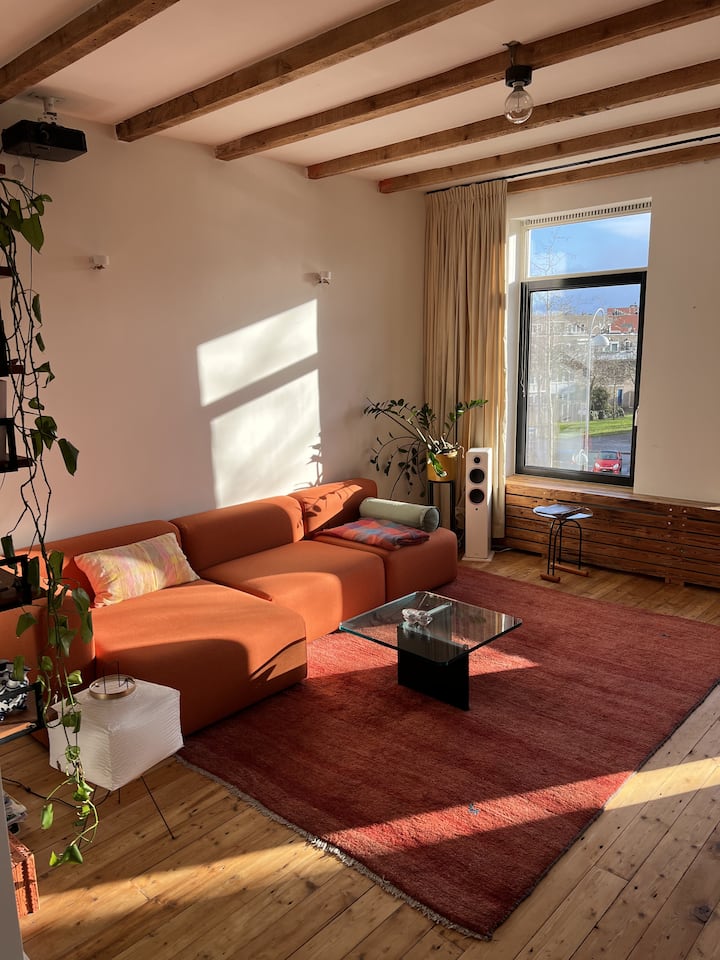 Spacious, Colorful Apt. Close To City Centre - Ámsterdam
