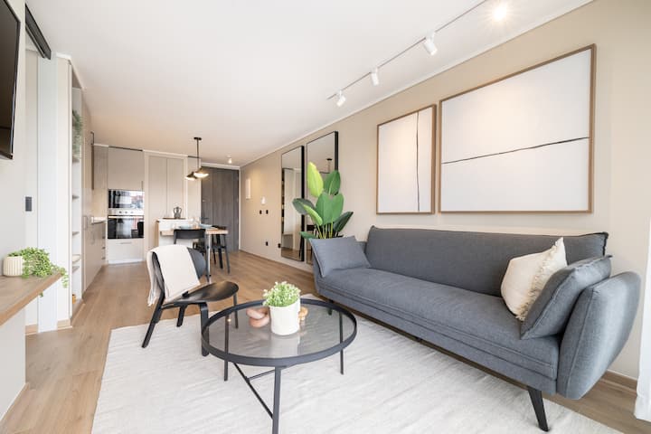 Departamento Completo Con Estacionamiento Privado - Providencia