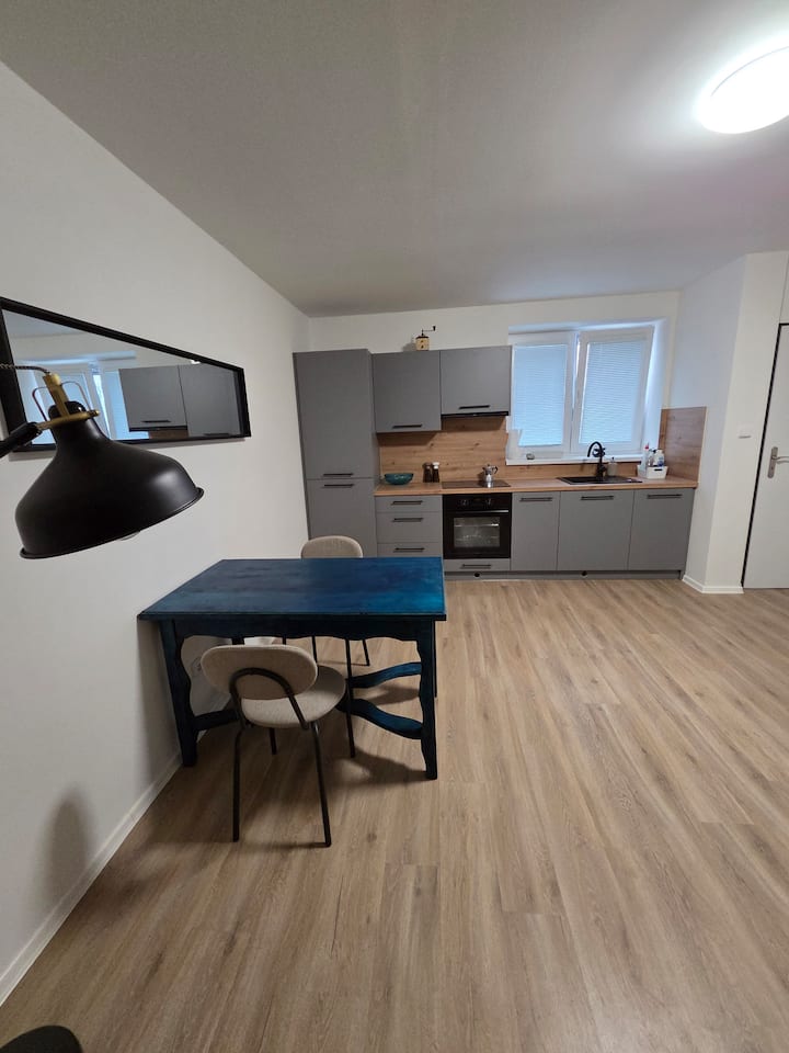 Nově Zrekonstruovaný Byt V Ostravě - Ostrava