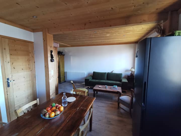 Charmant Duplex, Proche Centre Et Remontées - Servoz