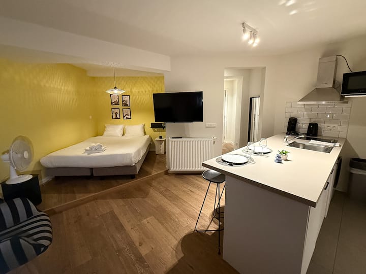 Studio Cosy Avenue Louise - Brussels Region