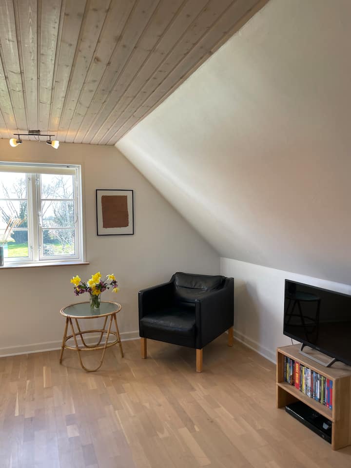 Feriehus På Dejlige Strynø - Denmark