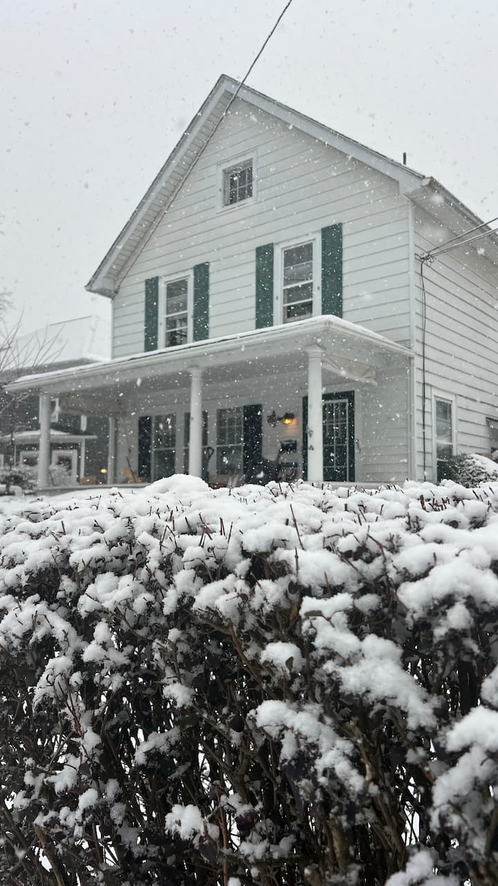 Uptown Kingston (30 Day Rental) - Kingston