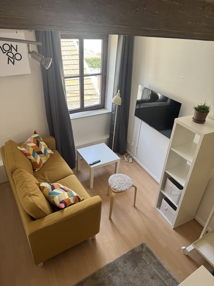 Studio Cosy, Vue Sur Meuse à Deux Pas Du Centre - Huy
