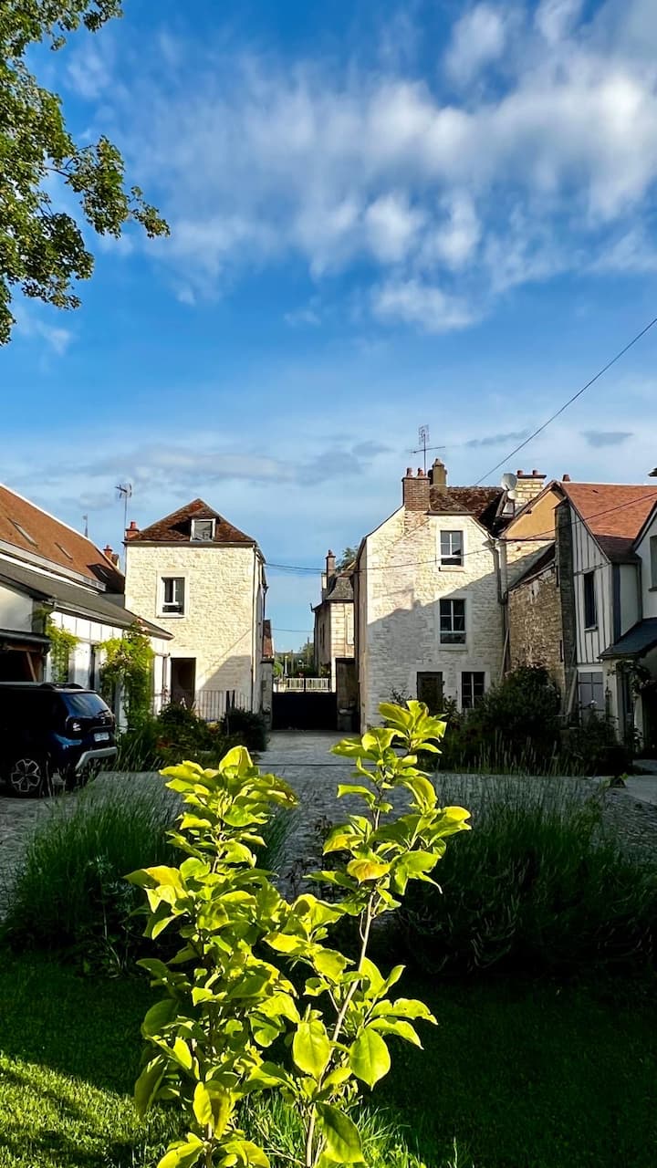 Deux Maisons De Charme Pour 10 Personnes - Tonnerre