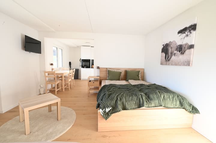 Mountain Apartment Close To Interlaken & Adelboden - Kiental BE