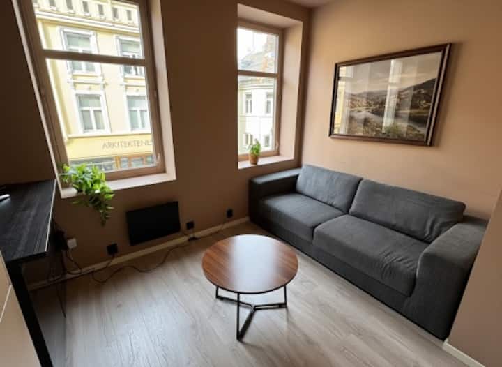 Modern And Central Apartment In Trondheim - Trondheim