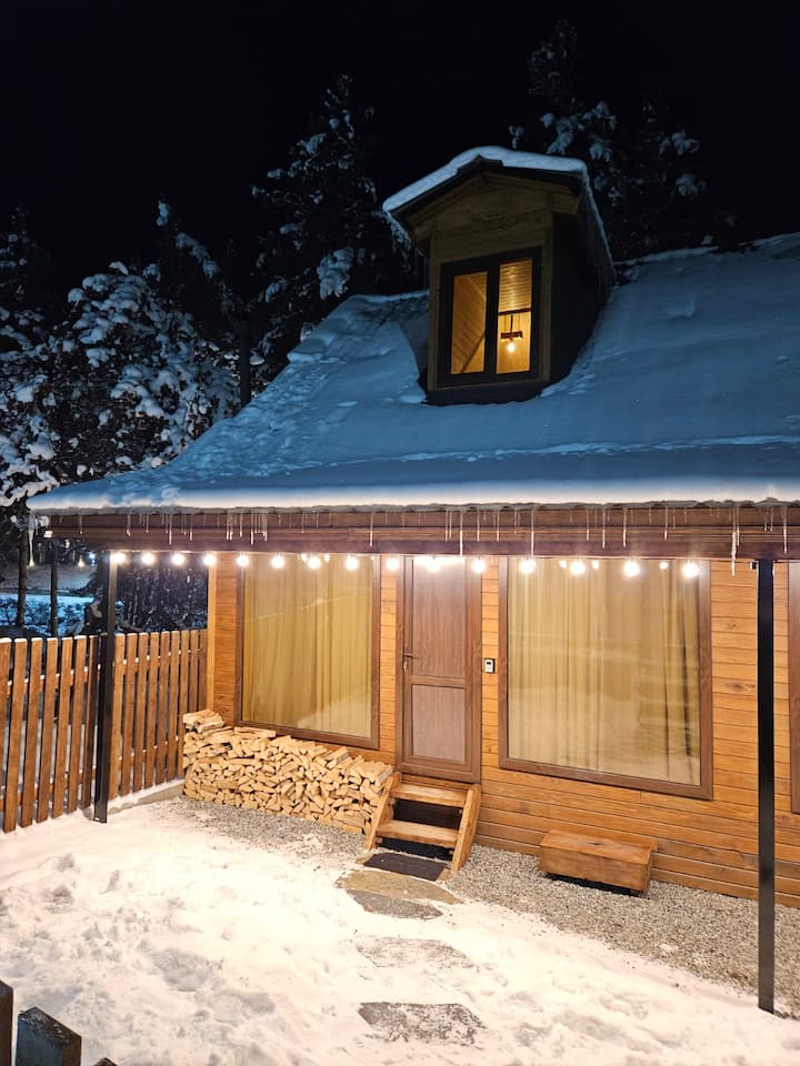 Tatu's Wooden Hut - Geórgia