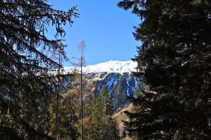 Forest Chalet With Full Privacy & Tranquility - Bettmeralp