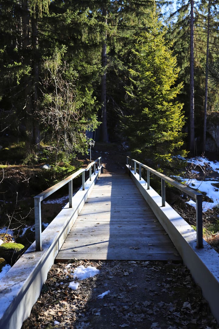 Forest Chalet With Private Bridge & Mountain View - Bettmeralp