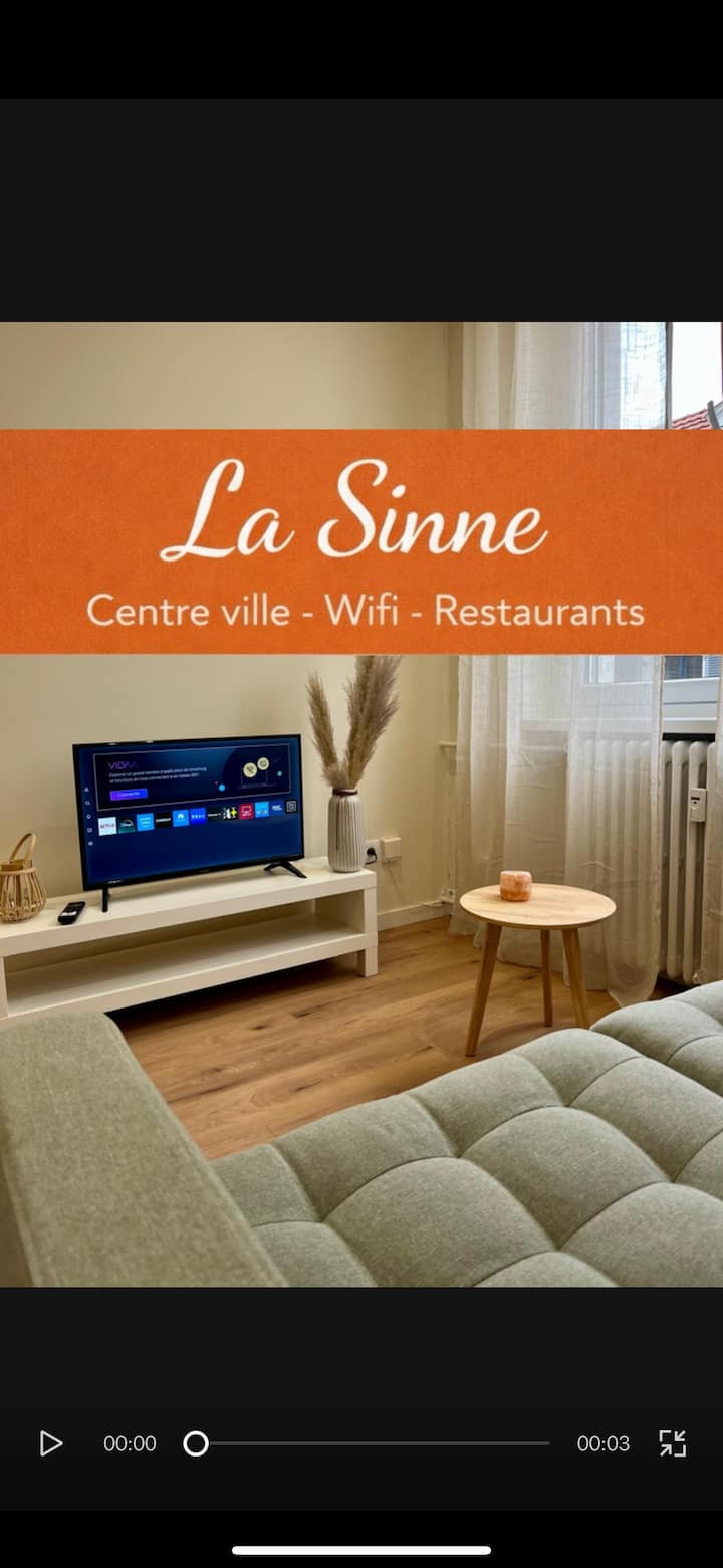Appartement Cosy Au Centre De Mulhouse - Mulhouse