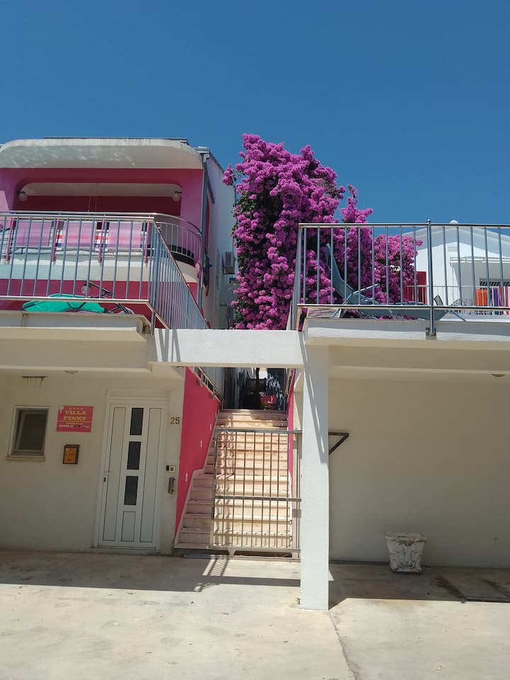 Beachfront  Villas  Pet Friendly - 트로기르