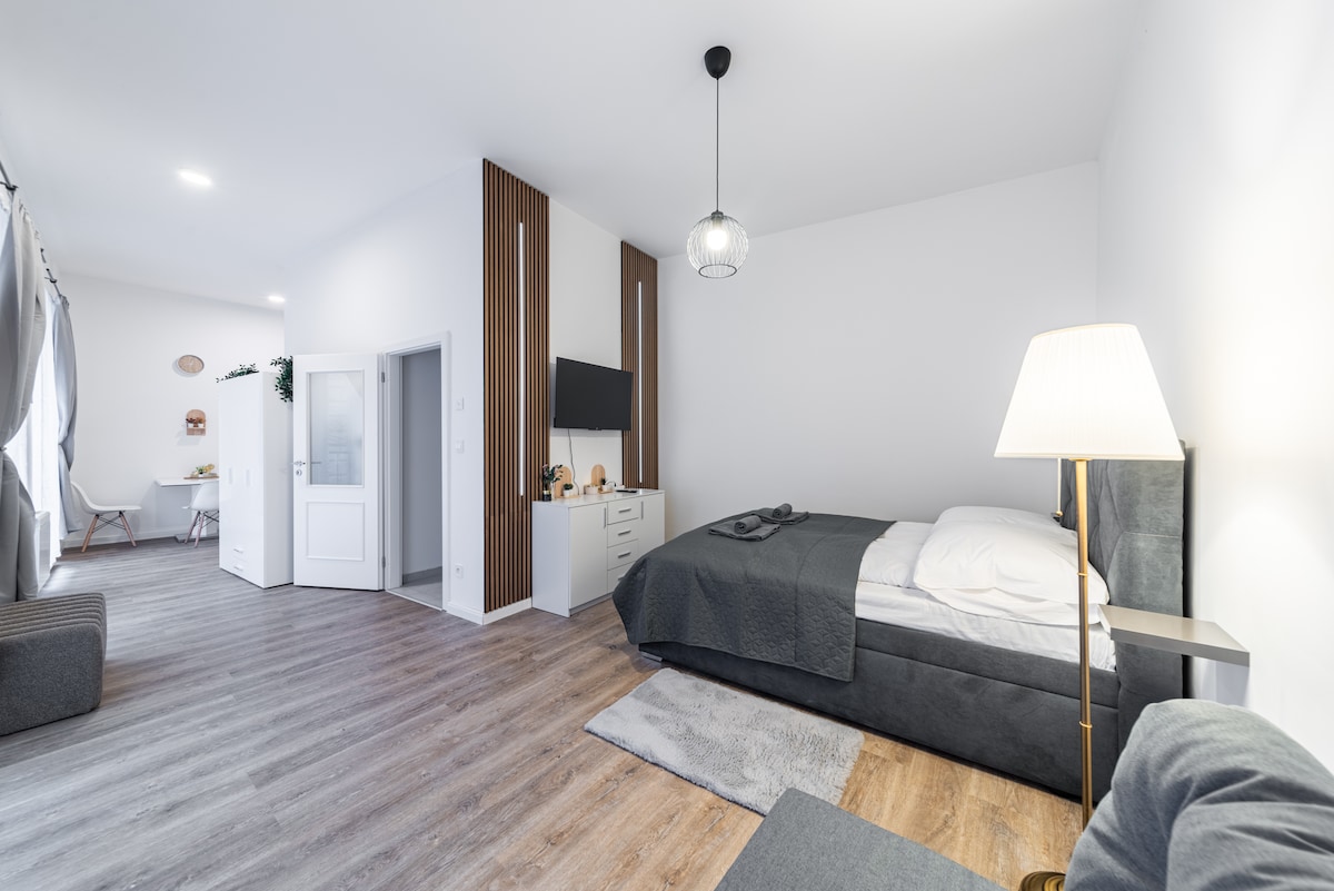 Pretty apartment in the city center - Prague 1 - Flats for Rent in ...