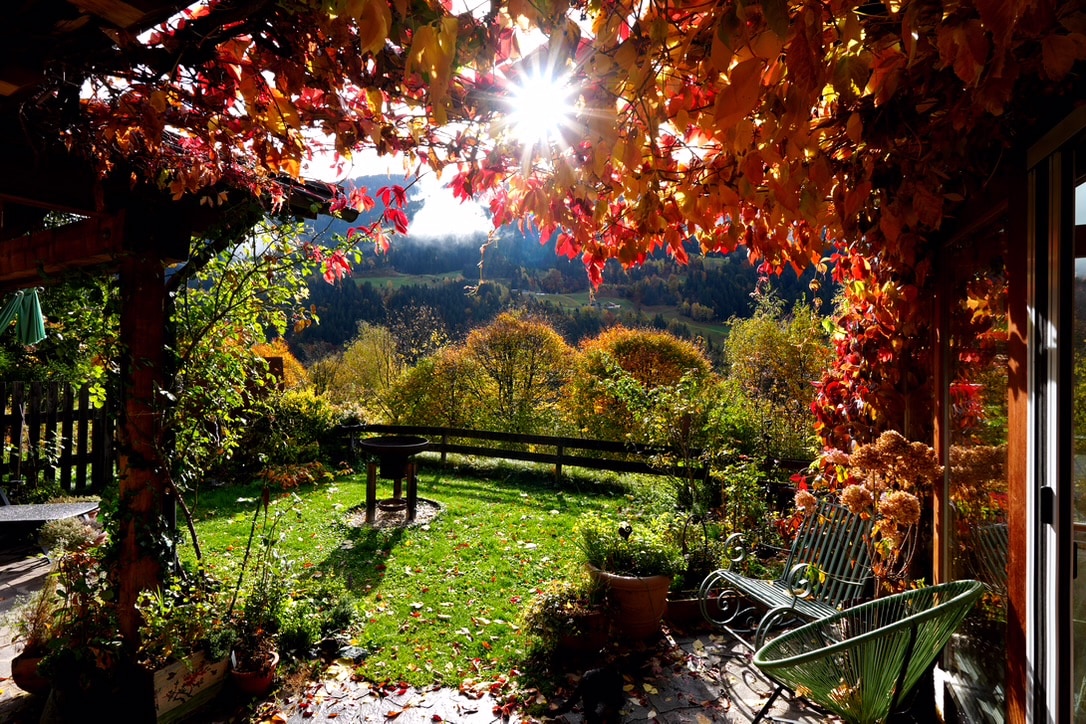 Am Walde: Mountain hideaway with breathtaking view - Guest houses for ...