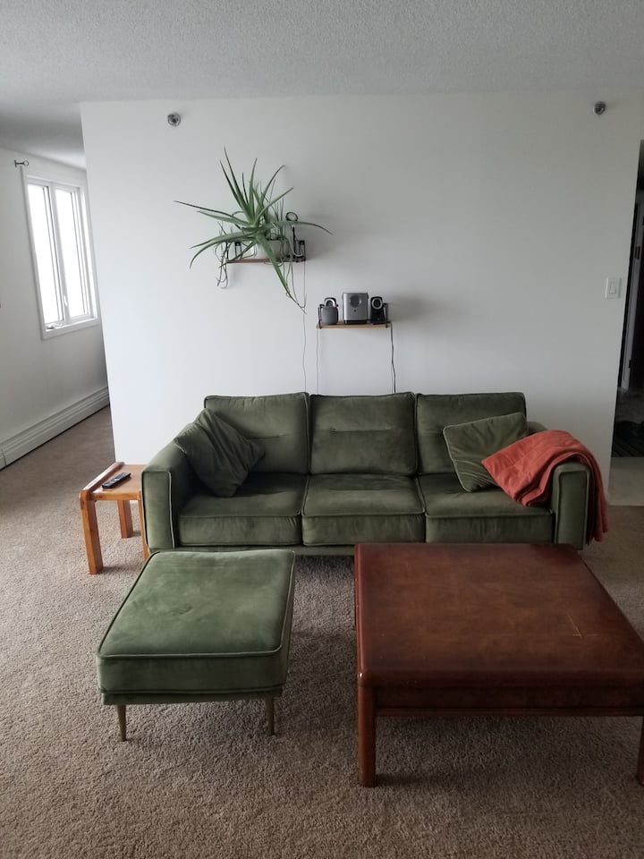 5th Avenue River Veiw - Saskatoon