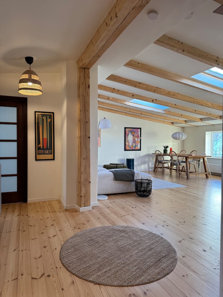 Quiet Centre Attic Appartment - Riga