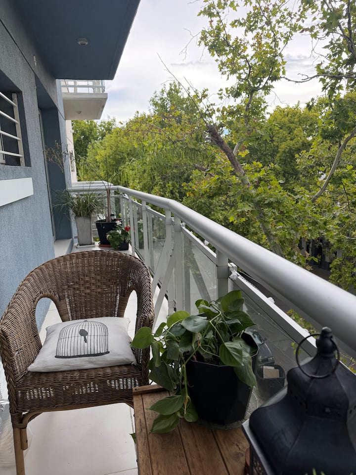 Departamento De Categoria, Centro De San Rafael. - Argentina