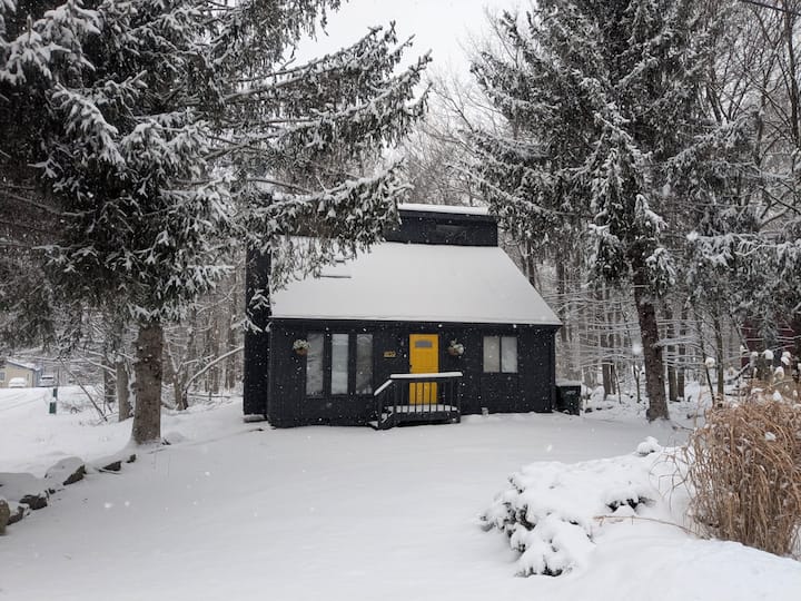 Yellow Door Cabin - Mount Pocono, PA