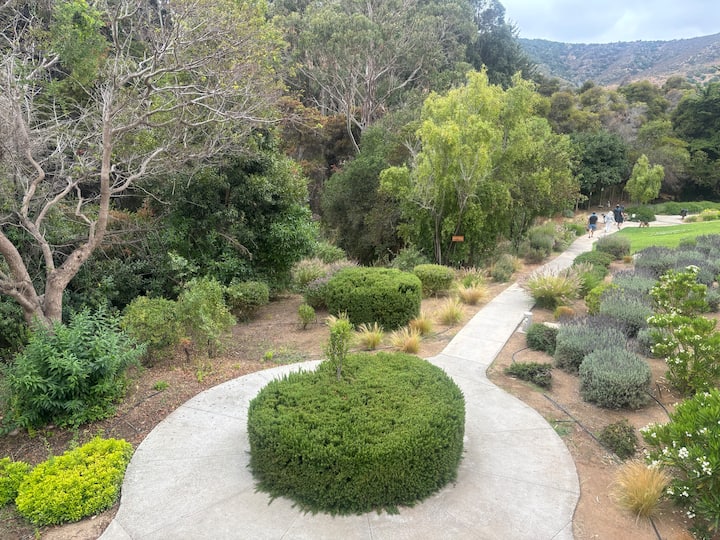 Departamento Full Lomas De Papudo 3d/1b - Zapallar