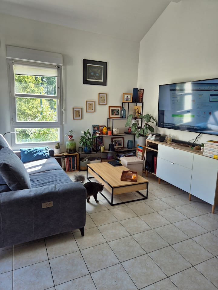 Chambre Chez L'habitant - Disneyland Paris