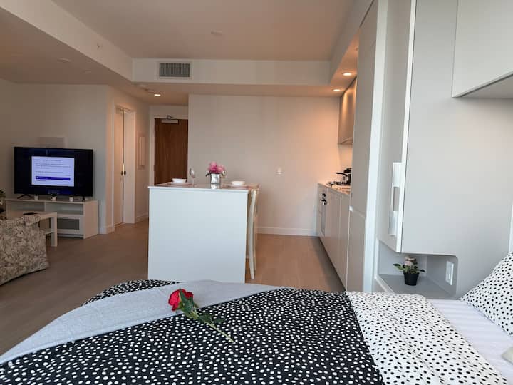 Luxury Condo 1 Bedroom Burnaby Metrtown - Burnaby
