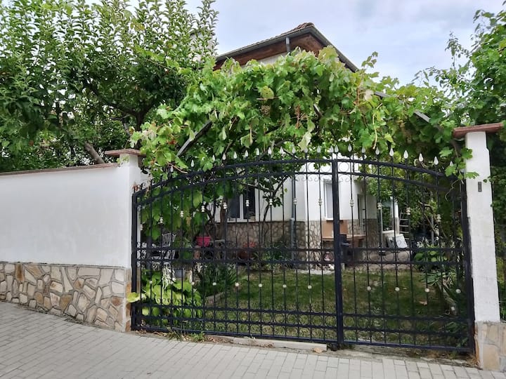 Green House And Flowers - Gotse Delchev