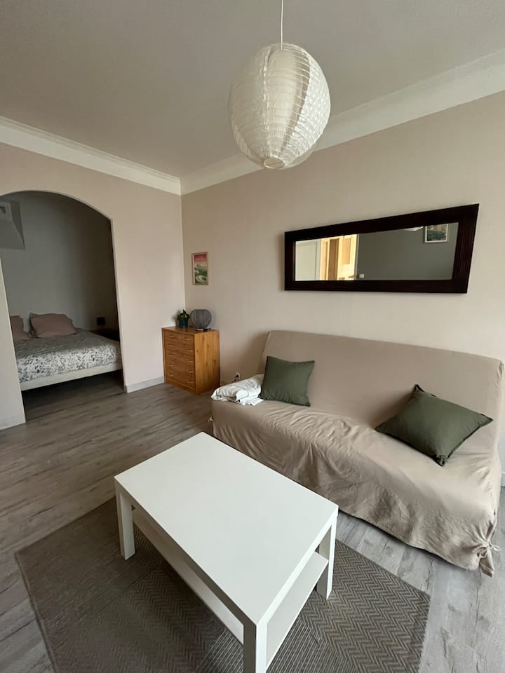 Appartement Cosy Proche Des Commerces - Riom