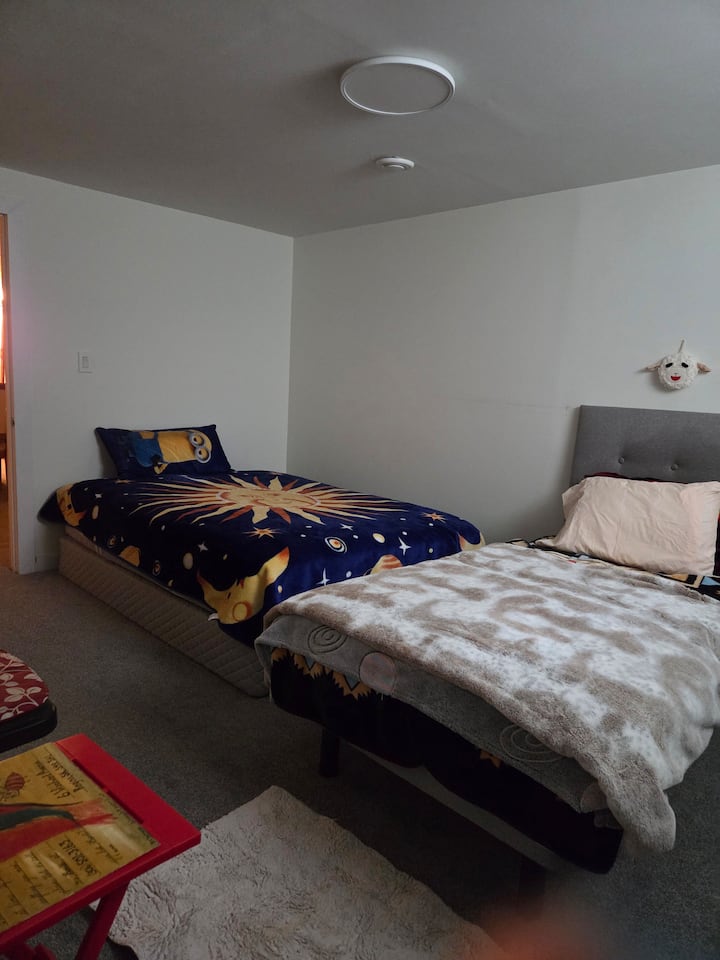 Beebee's Basement Suite B&b - Regina