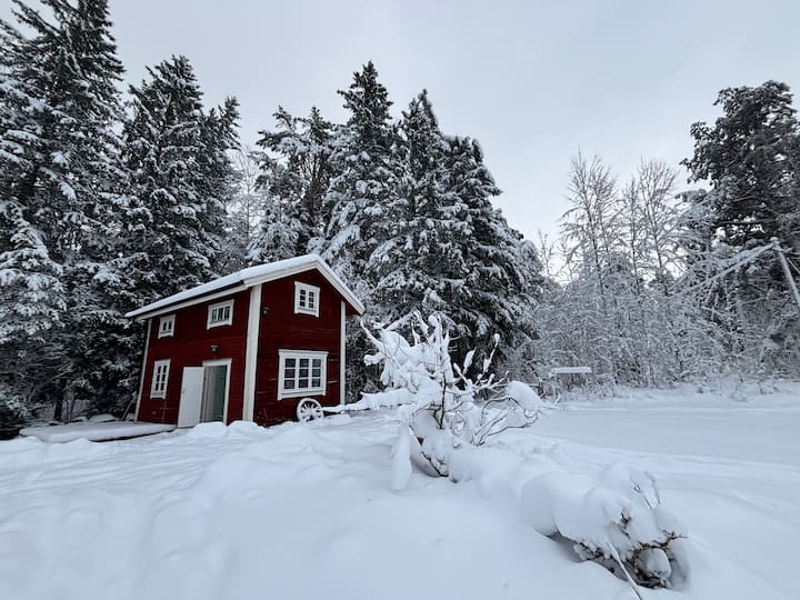 Artphilosophy Studio - Rimbo