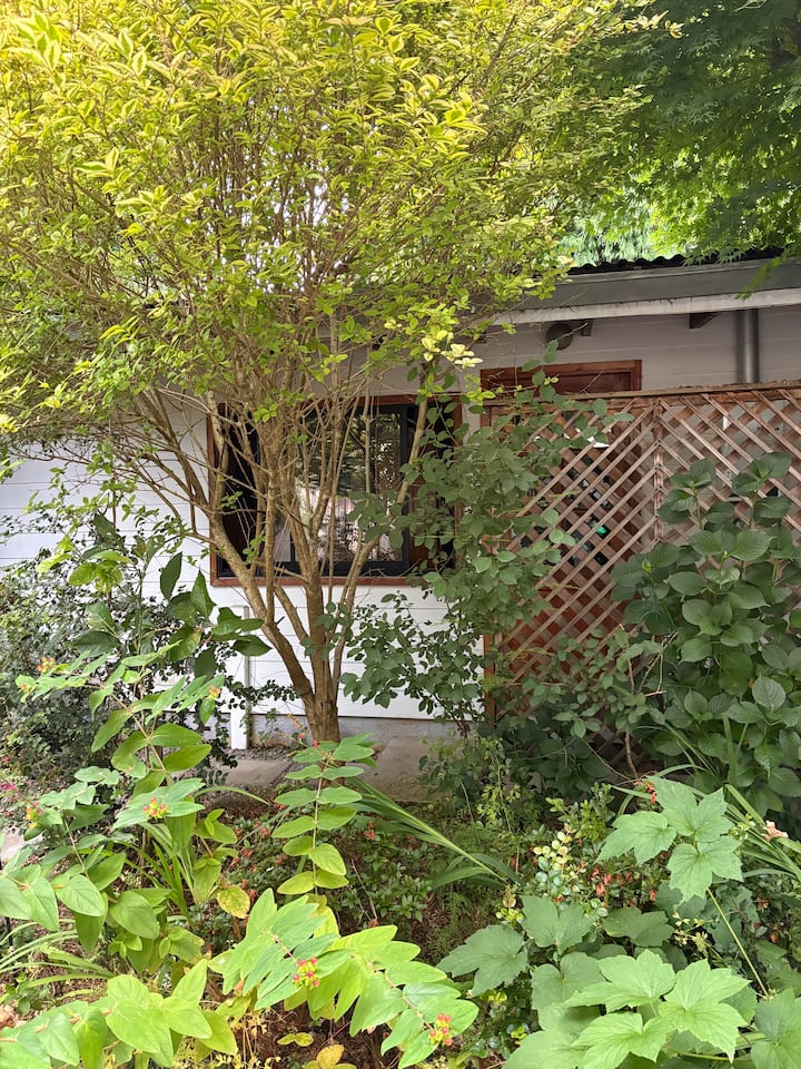 Acogedora Cabaña En Isla Teja - Valdivia