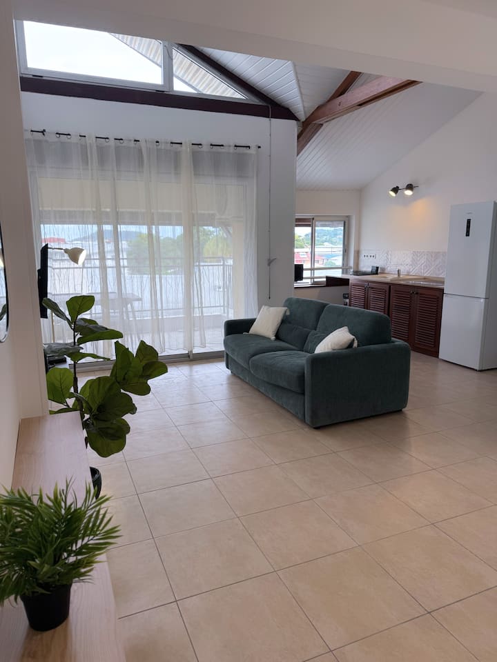 La Créole
Charmant T2 Aux Portes De Cayenne - Cayenne