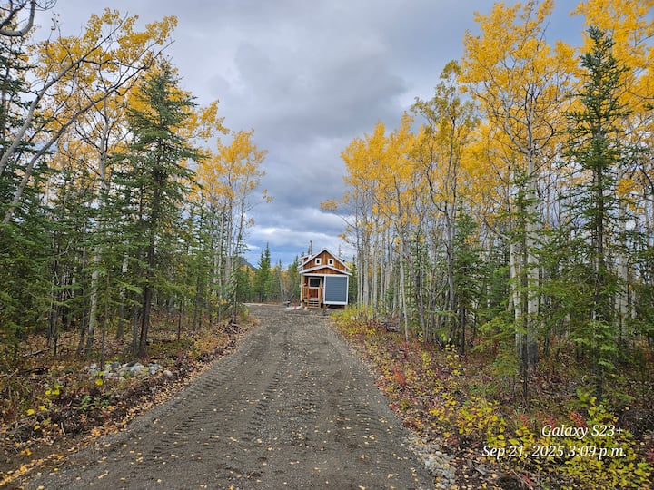Private Cabin Grizzly Valley - Yukon