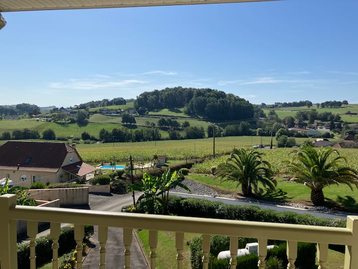 Appartement En Pleine Campagne (Vue Des Pyrénées) - Orthez