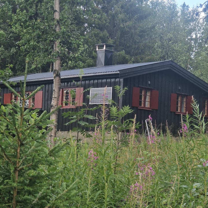 Fjellhytte Valdres. - Norway