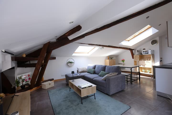 Appartement Lumineux Tout éQuipé. - Séchilienne