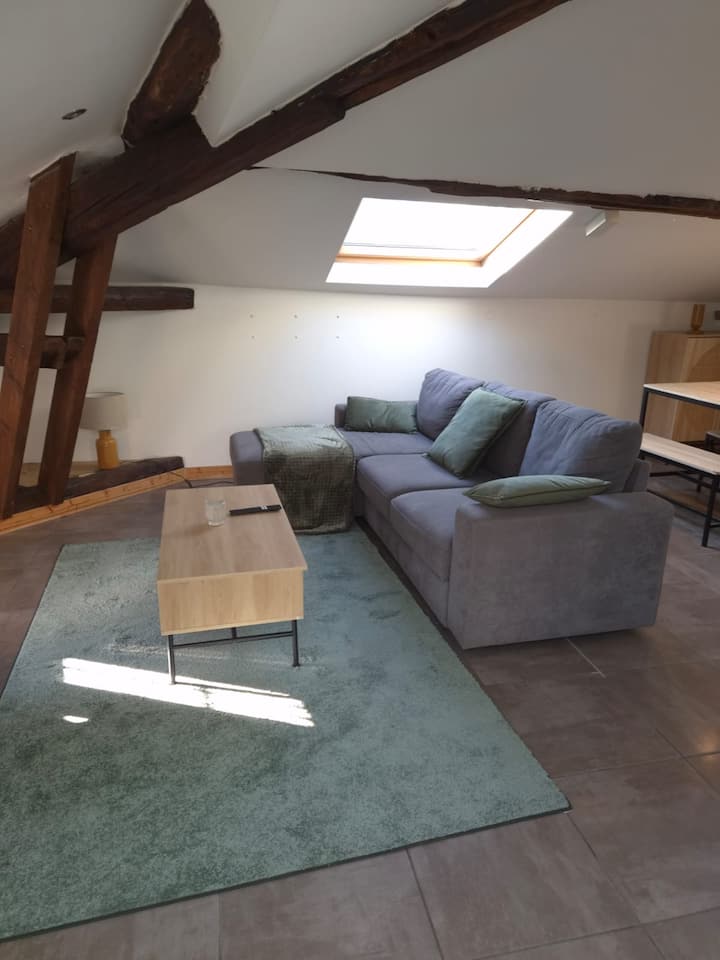 Appartement Lumineux Tout éQuipé. - Séchilienne