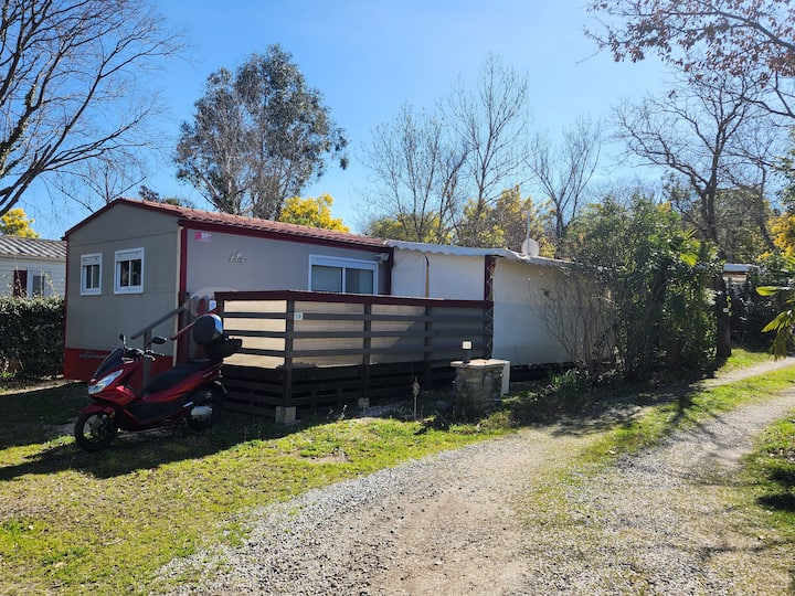 Mobil Home Camping Saint Martin
 4 Etoiles - Le Boulou